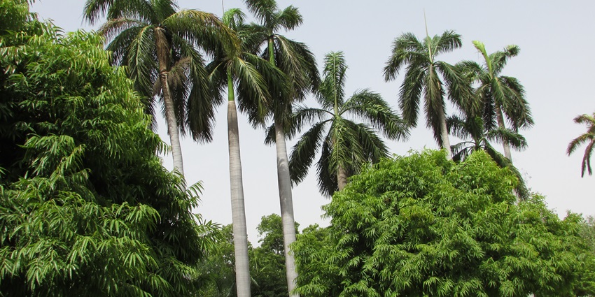 Lucknow Zoo Museum: Top Destination For A Family Outing - TripXL