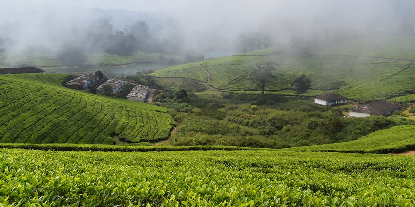 Discover Megamalai Wildlife Sanctuary: Nature & Wildlife - TripXL