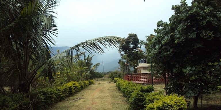 Papanasam Temple: A Religious Getaway In Tamil Nadu - TripXL