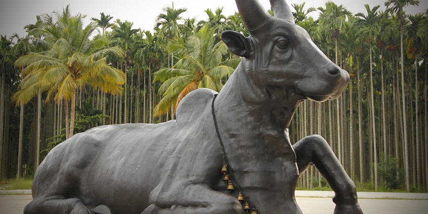 Isha Temple: The Guide To Meditation And Spirituality - TripXL