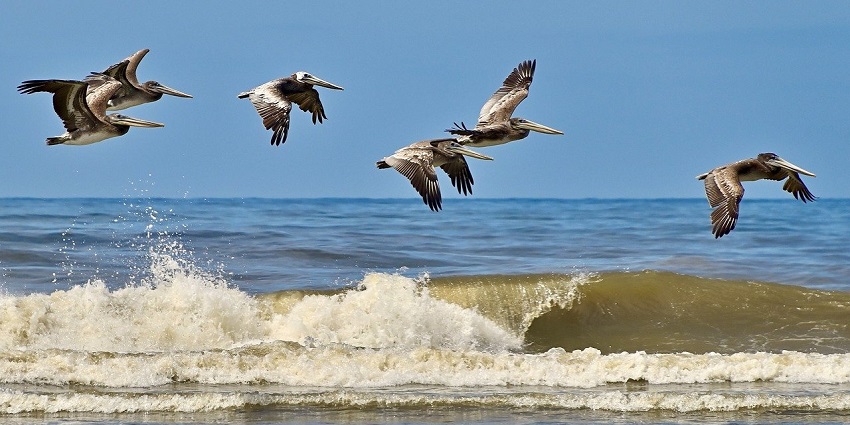 12 Places To Visit In Mahe: Discover Historical And Scenic Gems - TripXL