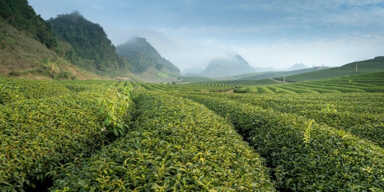 11 Places To Visit In Tamil Nadu In May: Your Next Summer Escape - TripXL
