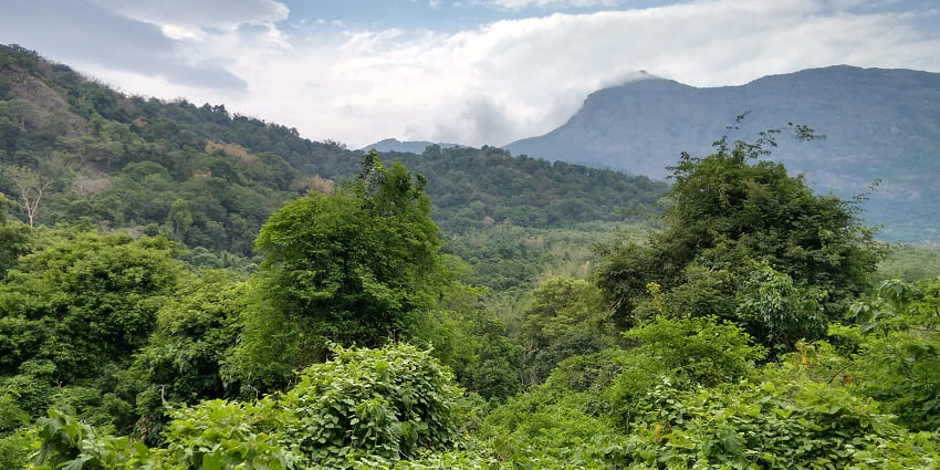 Maruthamalai Temple: A Revered Temple For Lord Murugun - TripXL