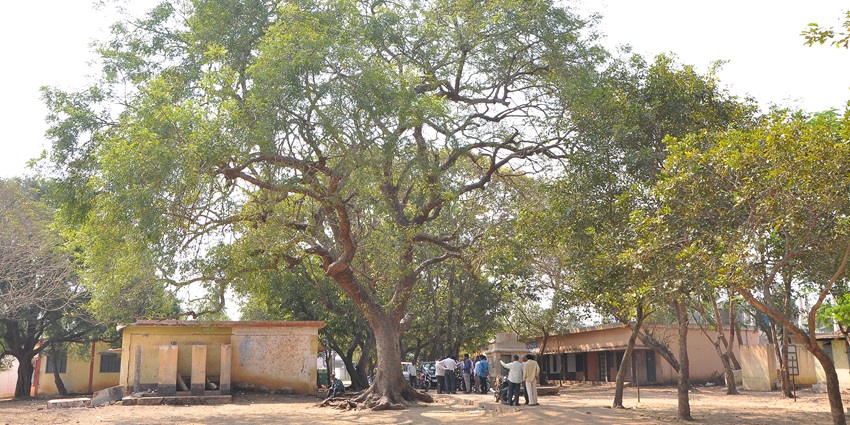 Akkalkot Temple: Visit This Sacred Gem Of Swami Samarth - TripXL