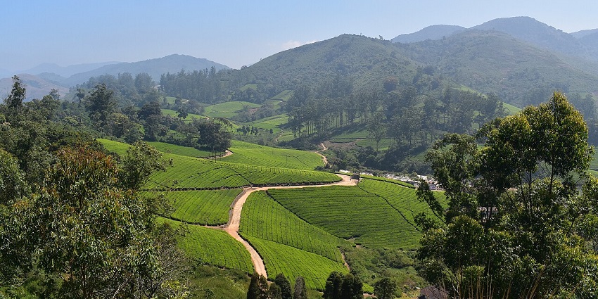 14 Best Places to Visit In Theni: Explore And Enjoy - TripXL