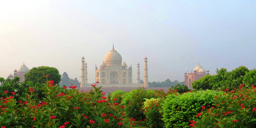 Taj Mahal Mosque: Discover The Beauty And Significance - TripXL