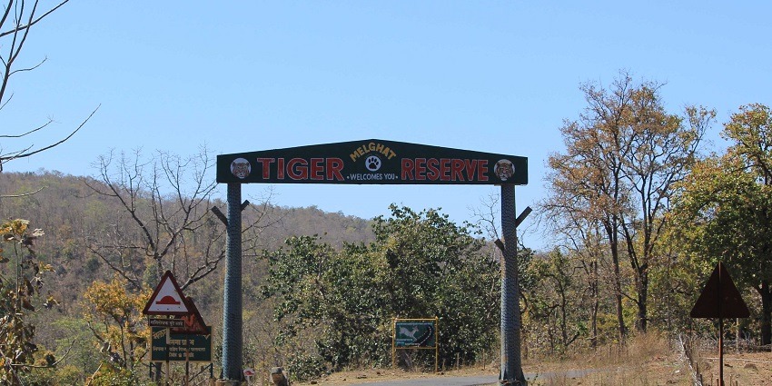 Jungle Safari In Maharashtra: Top Wildlife Destinations For Nature ...