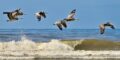 19 Popular Beaches Near Coimbatore For A Weekend Getaway - TripXL