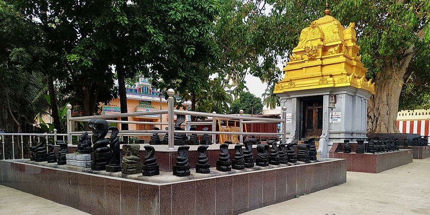 12 Places To Visit In Nagercoil: Tamil Nadu’s Serene Cities - TripXL