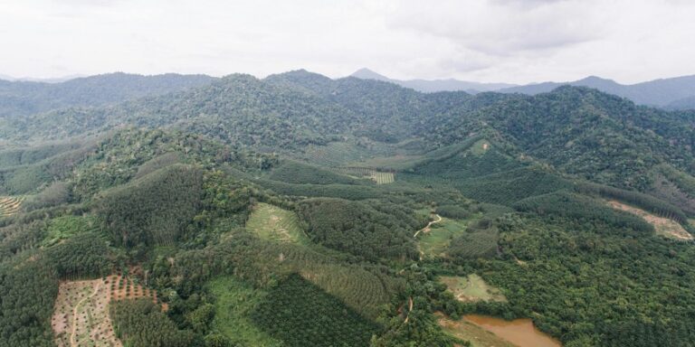 Muneeswaran Temple: Lord Muneeswaran Shrine In Tamil Nadu - TripXL