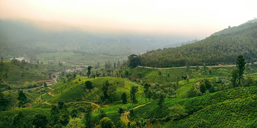 Chettipunniyam Temple: Discover Haven Of Peace And Devotion - TripXL