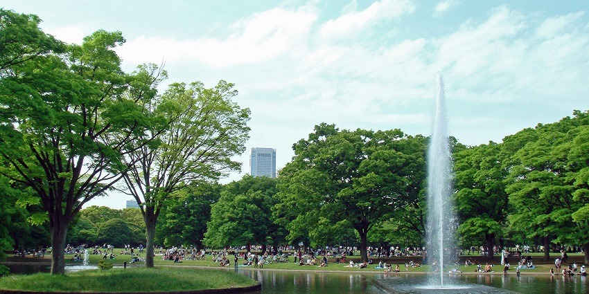 15 Places To Visit In Ambala: Historical And Cultural Gems - TripXL