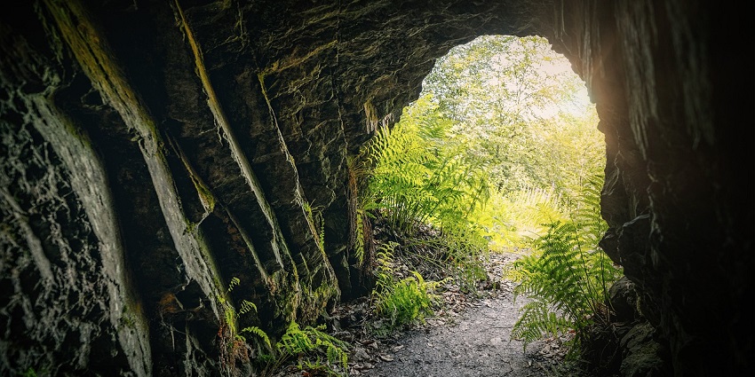 Maruthamalai Temple: A Revered Temple For Lord Murugun - TripXL