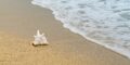 19 Popular Beaches Near Coimbatore For A Weekend Getaway - TripXL