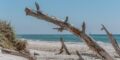 19 Popular Beaches Near Coimbatore For A Weekend Getaway - TripXL