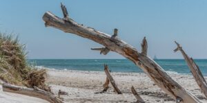 19 Popular Beaches Near Coimbatore For A Weekend Getaway - TripXL