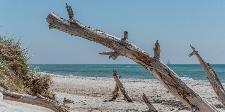 19 Popular Beaches Near Coimbatore For A Weekend Getaway - TripXL