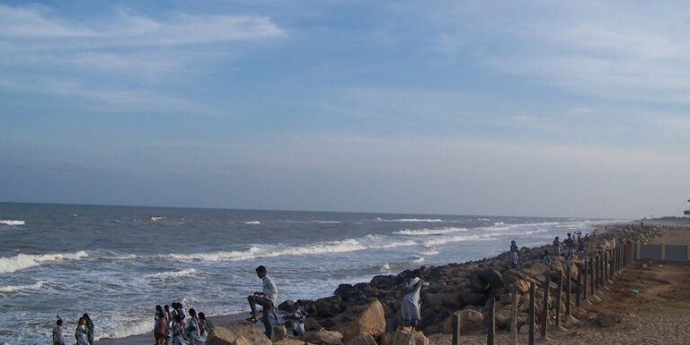 Explore Srimushnam Temple Of Lord Shiva In Tamil Nadu - TripXL