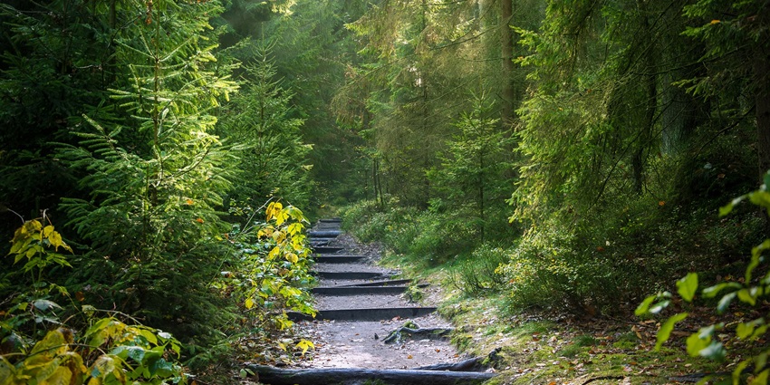 13 Places To Visit In Kolli Hills You Can't-Miss At Your Trip - TripXL