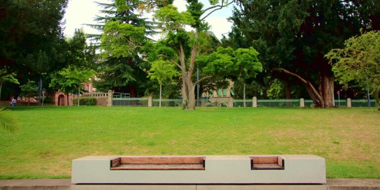 10 Nature Parks In Kolkata: A Escape From The Busy Citylife - TripXL