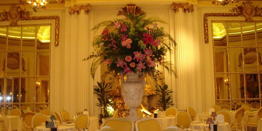 10 Party Places In Vijayawada: Have Unlimited Fun - TripXL