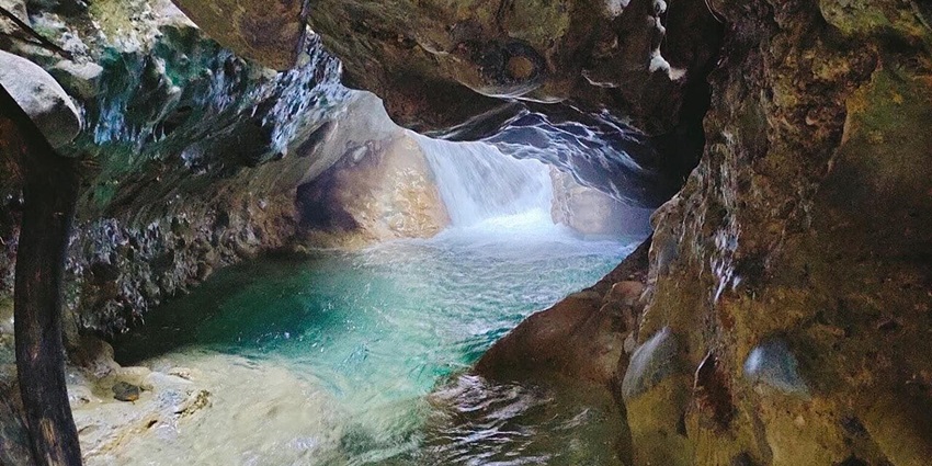 FRI Museum Dehradun: Have An Informational Experience - TripXL