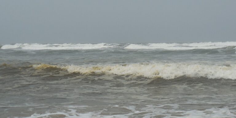 Scuba Diving In Chennai: 9 Spots For Adventure In Tamil Nadu - TripXL