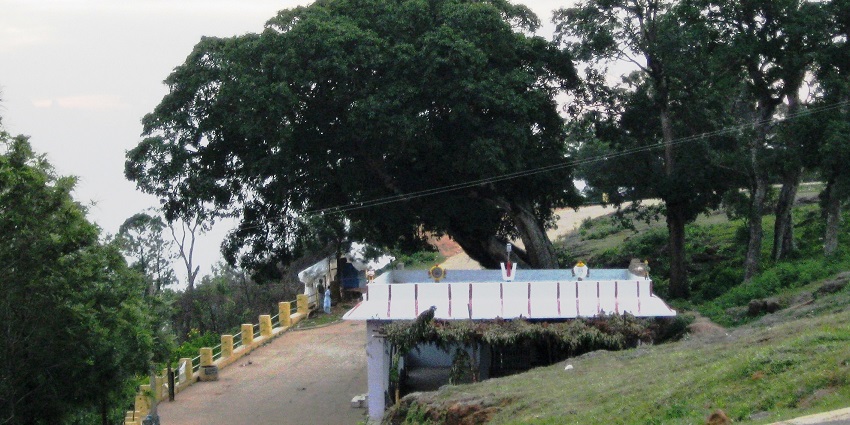 Top 10 Places To Visit In Yercaud For A Charming Vacation - TripXL