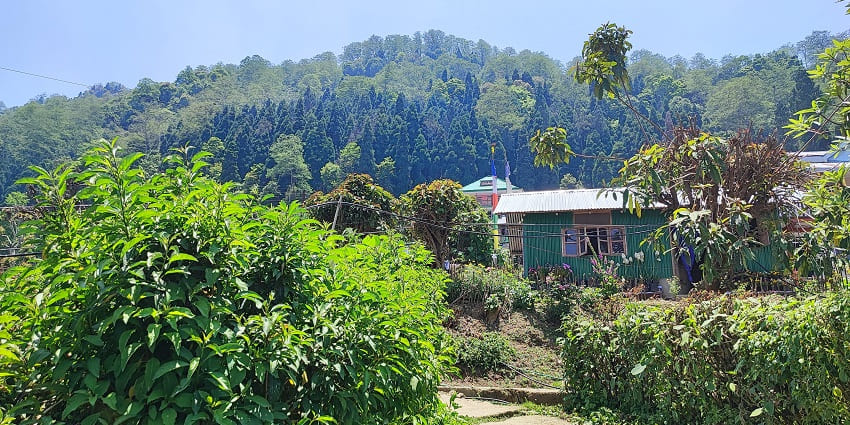 10 Offbeat Places Near Kalimpong: A Picturesque Visit In Bengal- TripXL