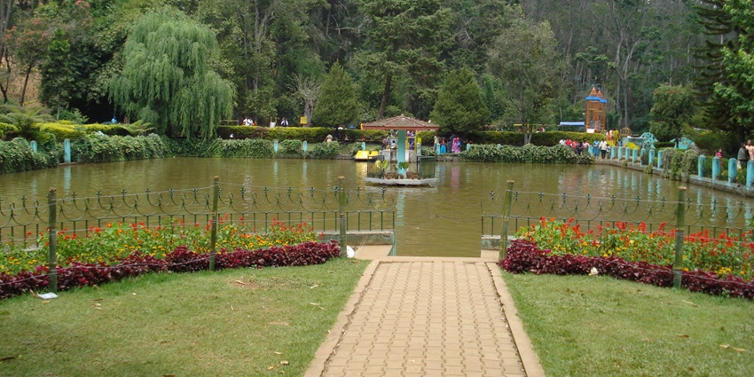 10 Places To Visit In Coonoor: Tea Gardens & Tranquility - TripXL