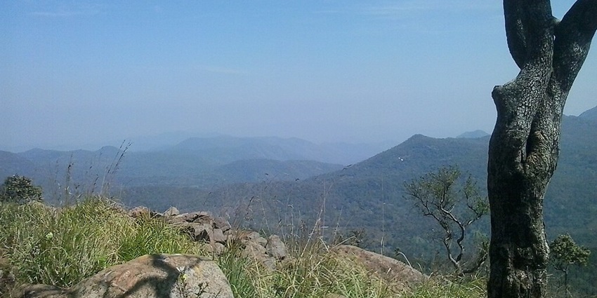 Top 12 Places To Visit In Dindigul: Discover The Heritage - TripXL