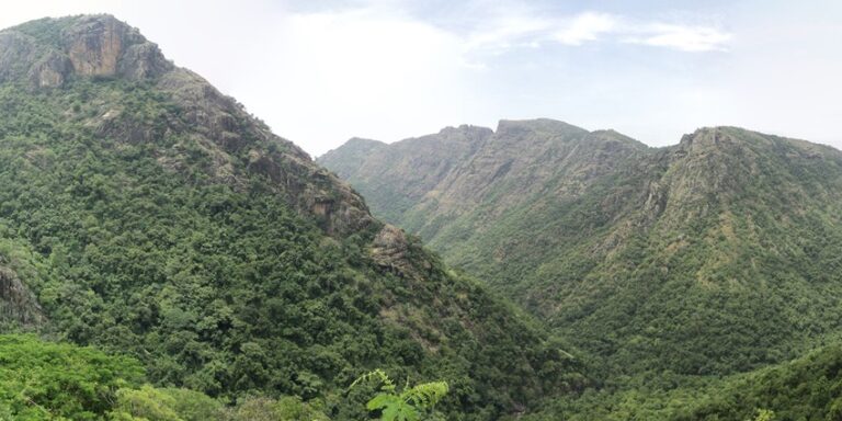 Parvathamalai Trek: An Uphill Adventure In Tamil Nadu - TripXL