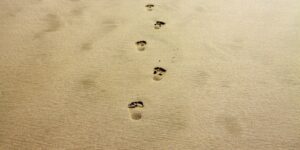 19 Popular Beaches Near Coimbatore For A Weekend Getaway - TripXL