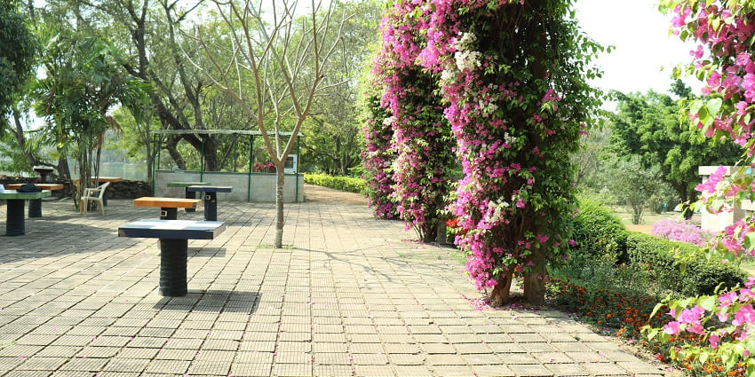 Nature Park Kolkata: A Perfect Picnic Destination In Kolkata - TripXL