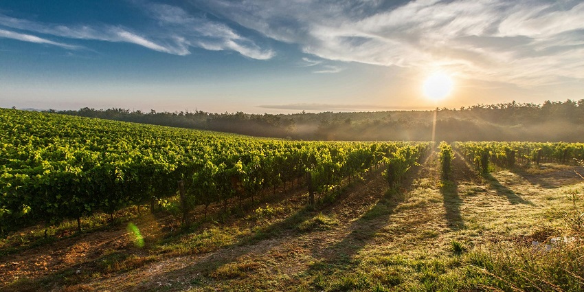 Agaya Gangai Waterfalls: Visit To Witness Picturesque Views - TripXL