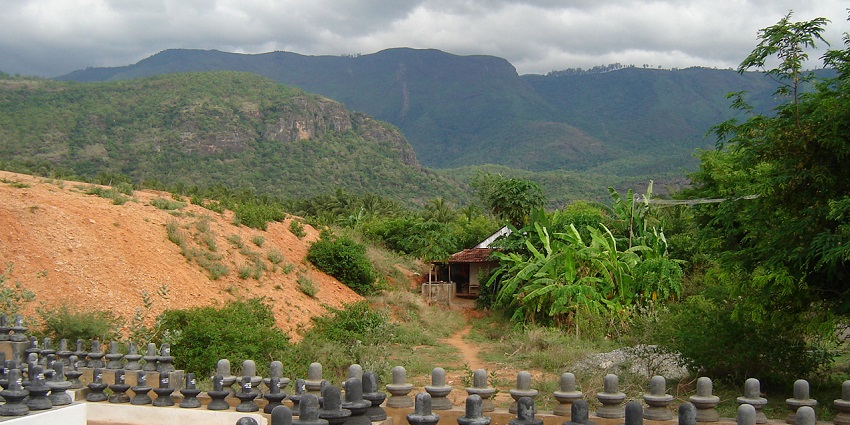 14 Things To Do In Theni For A Unique Experience - TripXL
