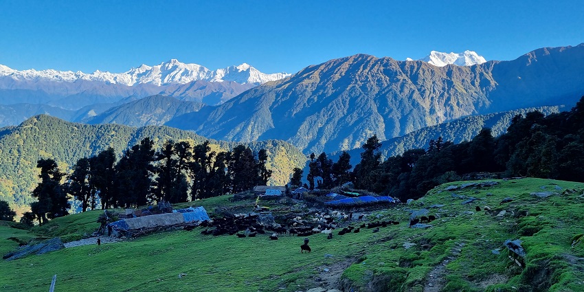 11 Places To Visit In Pangot: Unwind In The Lap Of Nature - TripXL