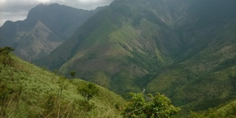 14 Things To Do In Theni For A Unique Experience - TripXL