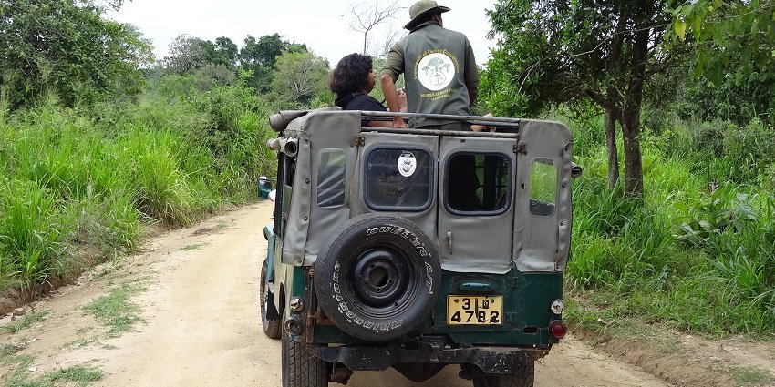 Jungle Safari In Mumbai: Top 8 Adventure Spots In The Wild - TripXL