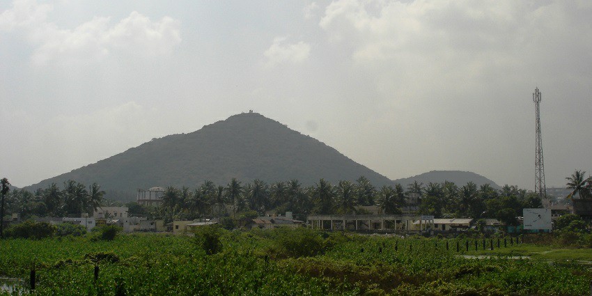 Vandalur Zoo: Explore The Exotic Wildlife In Tamil Nadu - TripXL