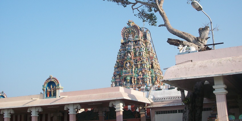 Explore Popular Things To Do In Palani, Tamil Nadu - TripXL