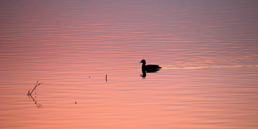 Kondeshwar Temple: A Lord Shiva Worship Site In Maharashtra - TripXL