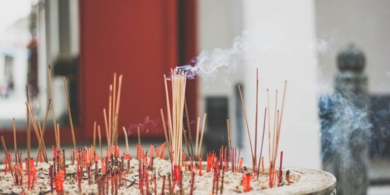 14 Things To Do In Theni For A Unique Experience - TripXL