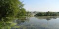Wildlife Sanctuaries Near Lucknow: A Scenic Expedition - TripXL