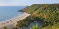 Places To Visit In Divar Island: Explore Goa's Hidden Gem - TripXL