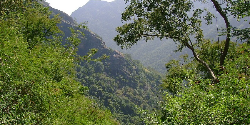Things To Do In Kolli Hills: Experience Nature's Bounty - TripXL