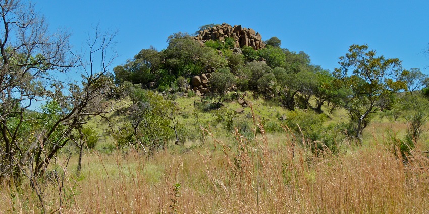 Pilanesberg National Park: South Africa’s Safari Destination - TripXL