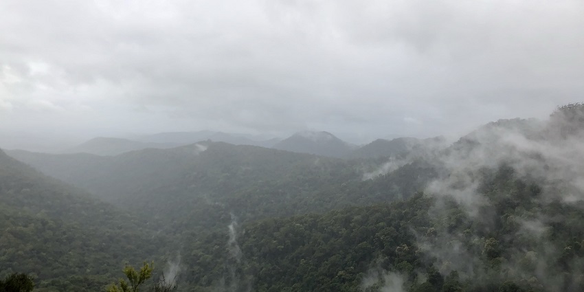 Springbrook National Park: The Ultimate Traveller’s Guide - TripXL