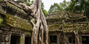 Places To Visit In Muzaffarnagar For A Memorable Experience - TripXL