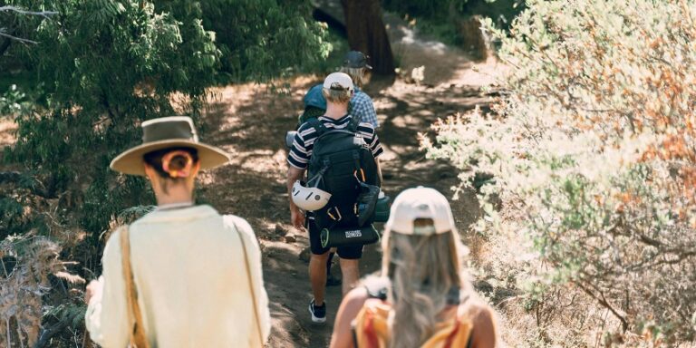 Anjaneri Trekking: Your Ultimate Guide To Scenic Trails - TripXL